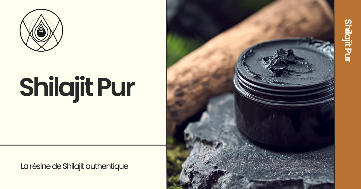 Shilajit Pur - Comparatifs & conseils sur le Shilajit